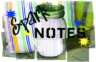 The Lightning and the Lightning-Bug: Introduction to Spark Notes