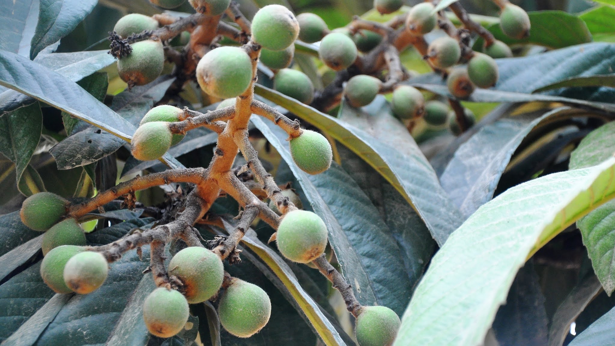 Backpacking travel & Outdoor adventures by Ching Neng Bin: 2011 ...