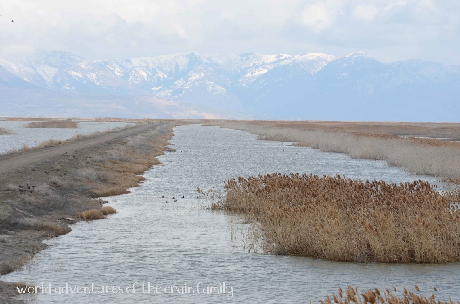 The World Adventures of the Crain Family: Bear River Migratory Bird Refuge