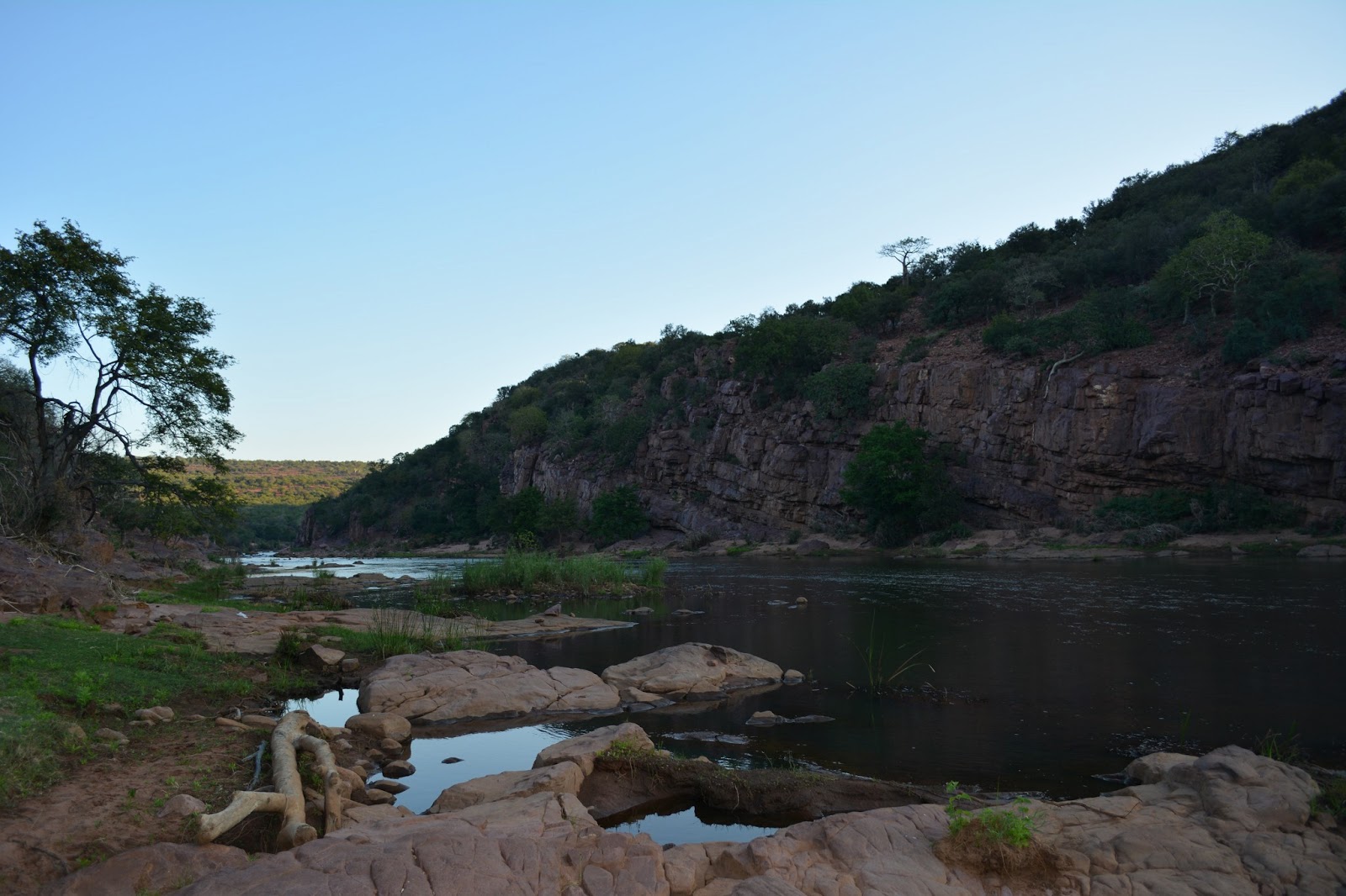 Do I Really Need That Rabies Shot...? : Kruger National Park--> Ha ...