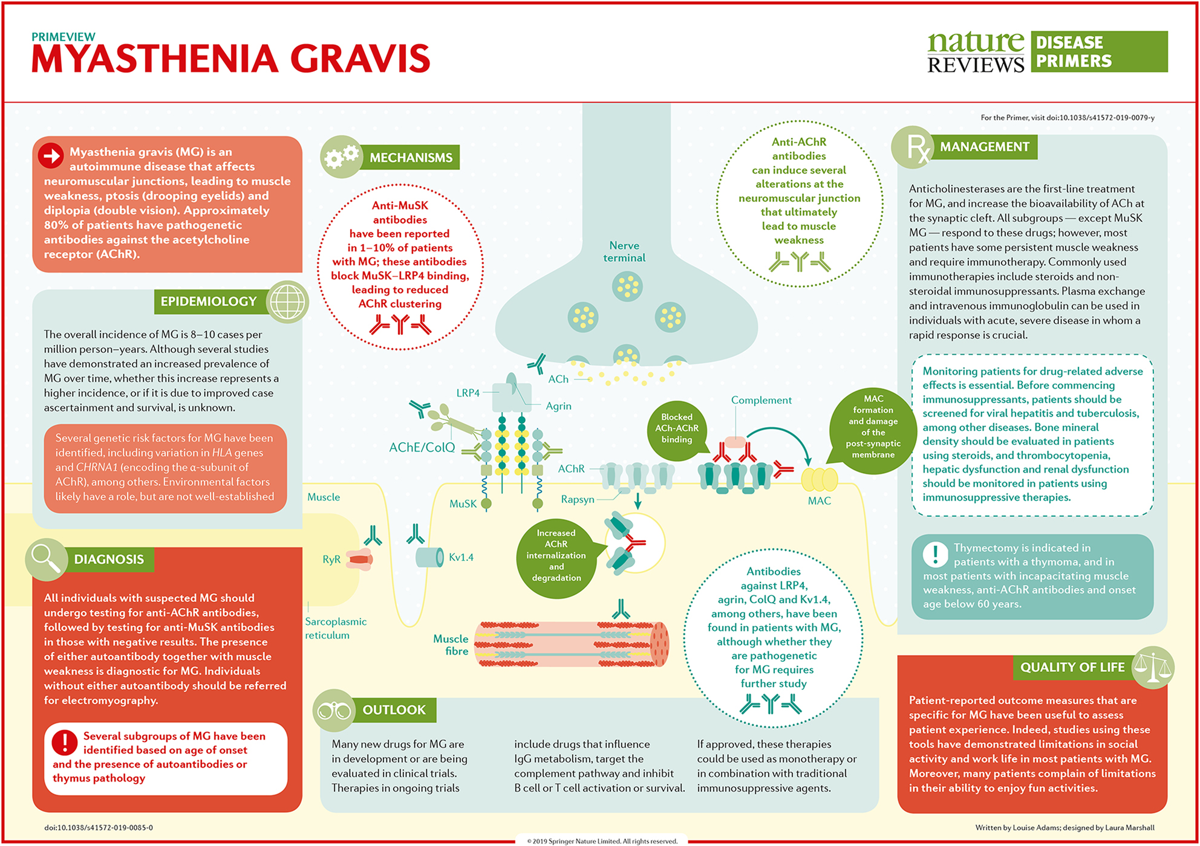 myasthenia gravis,symptoms,diagnosis,treatment