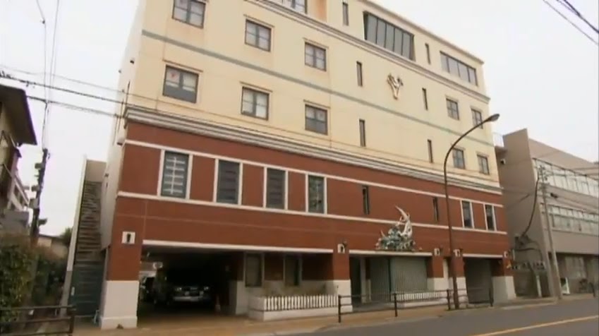 Naruto News: Informativo - Studio Pierrot