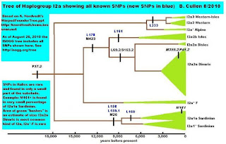I-P37.2 haplogroup research: (from 2010) Updated Haplogroup I2a Tree