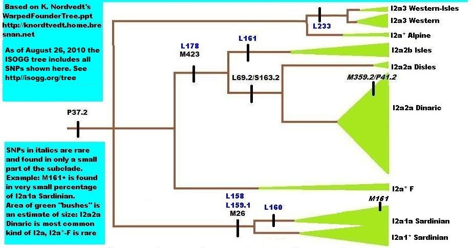 I-P37.2 haplogroup research: (from 2010) Updated Haplogroup I2a Tree