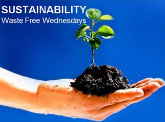 Seeking Shared Learning: A vision for Waste Free Wednesday