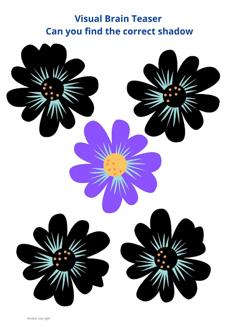 Art with Catherine - Visual Brain Teasers and Outline Drawing - Sligo ...