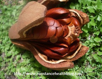 Benefit Mahogany For Health And Beauty