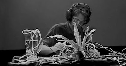 Music Is Dying Now: Michael Prime