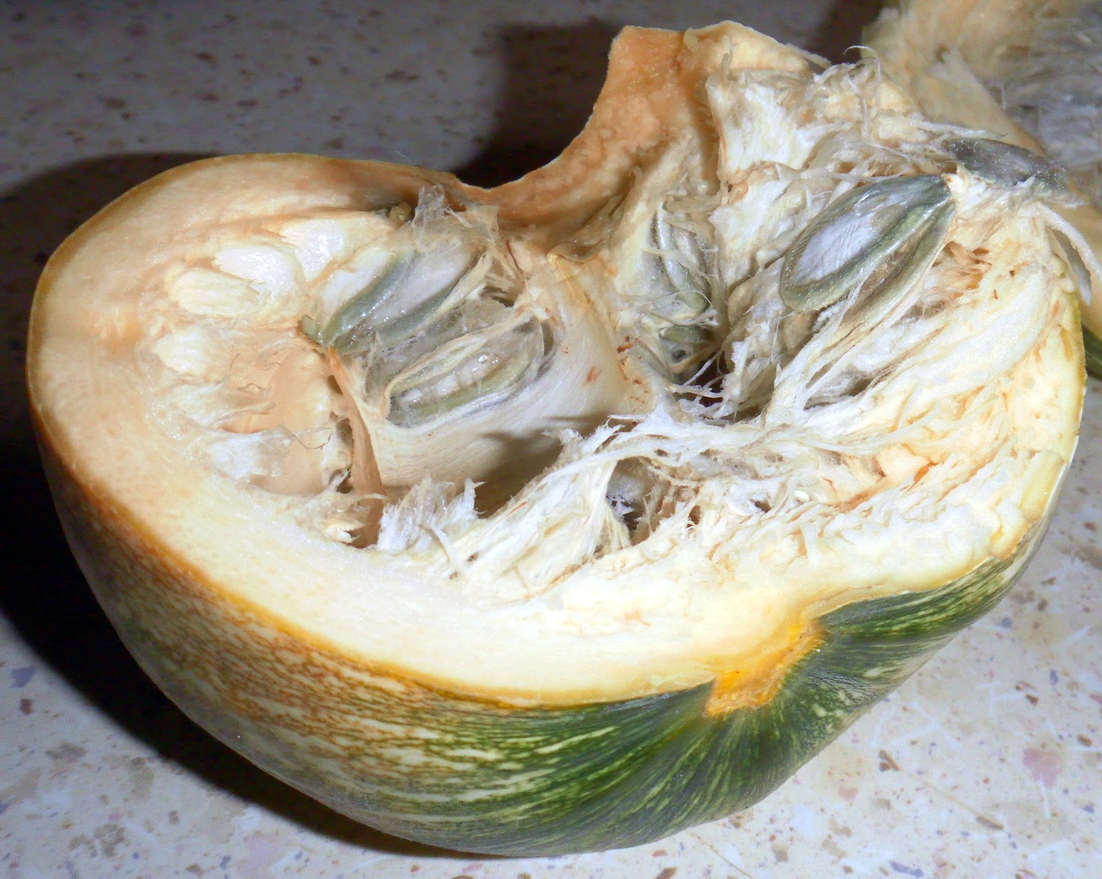 Scirpidiella's Plants: Rare Cultivated Squashes (Cucurbita sp. div.)