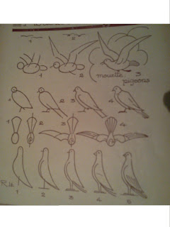 dessins,astuces,pour debutants: DESSINER LES OISEAUX