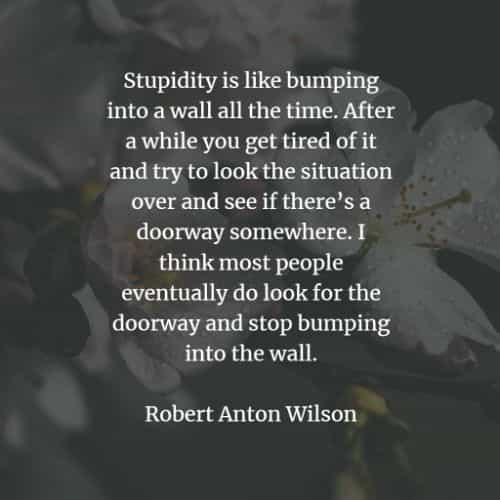 65 Stupidity quotes and sayings that will open your mind