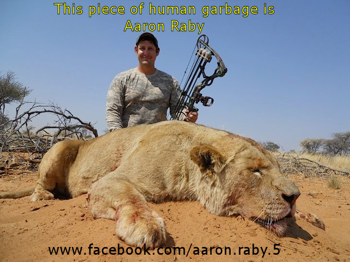 Ms. Obs HER Vation: Aaron Raby Elephant Killer, Merciless Murderer Torturer