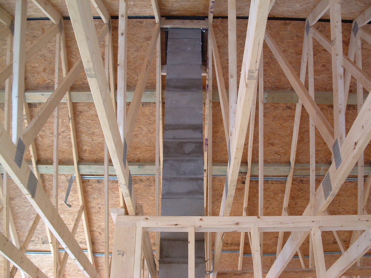 Hardwood Hermitage: Roof framed, chimney installed