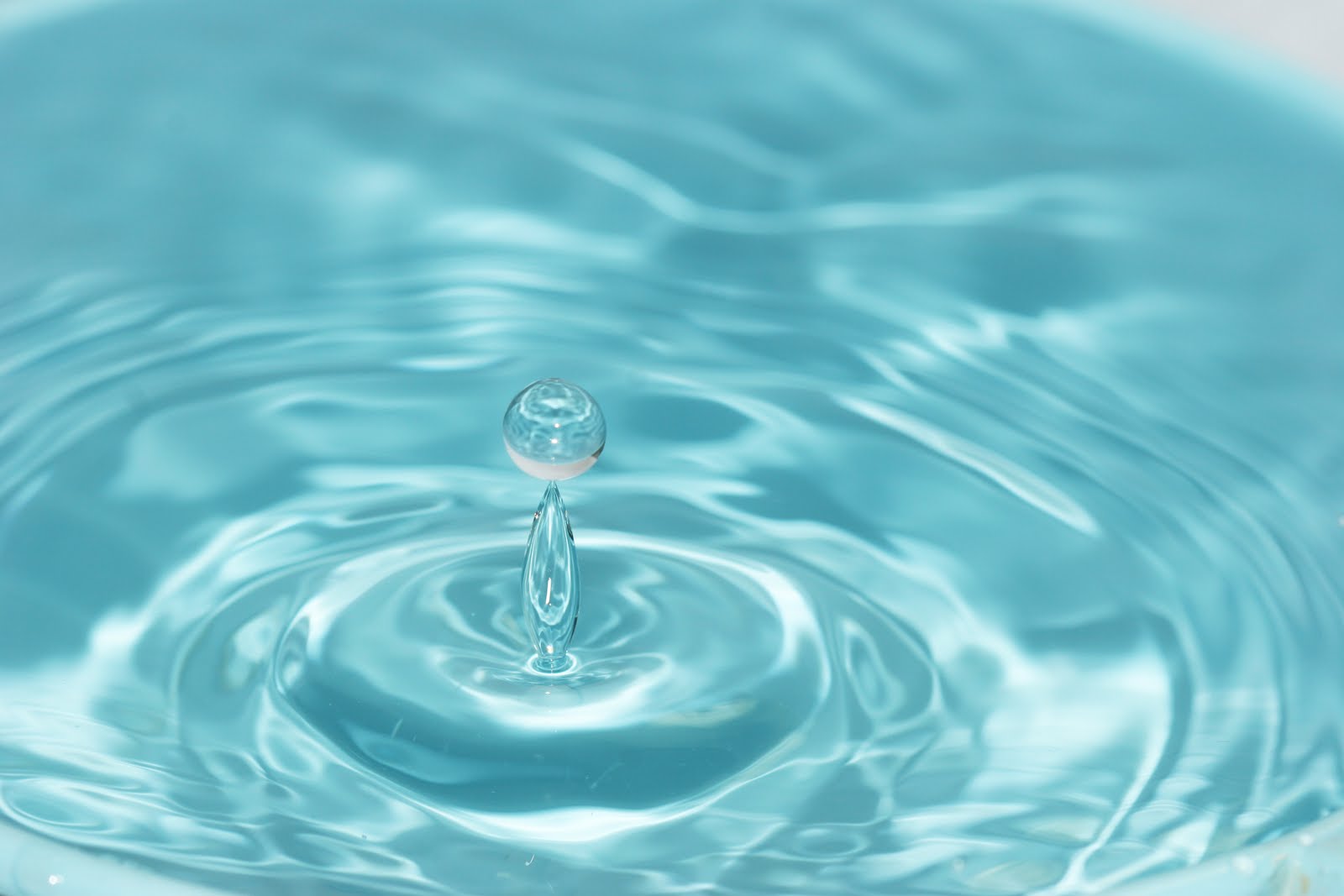 el agua un medio de vida