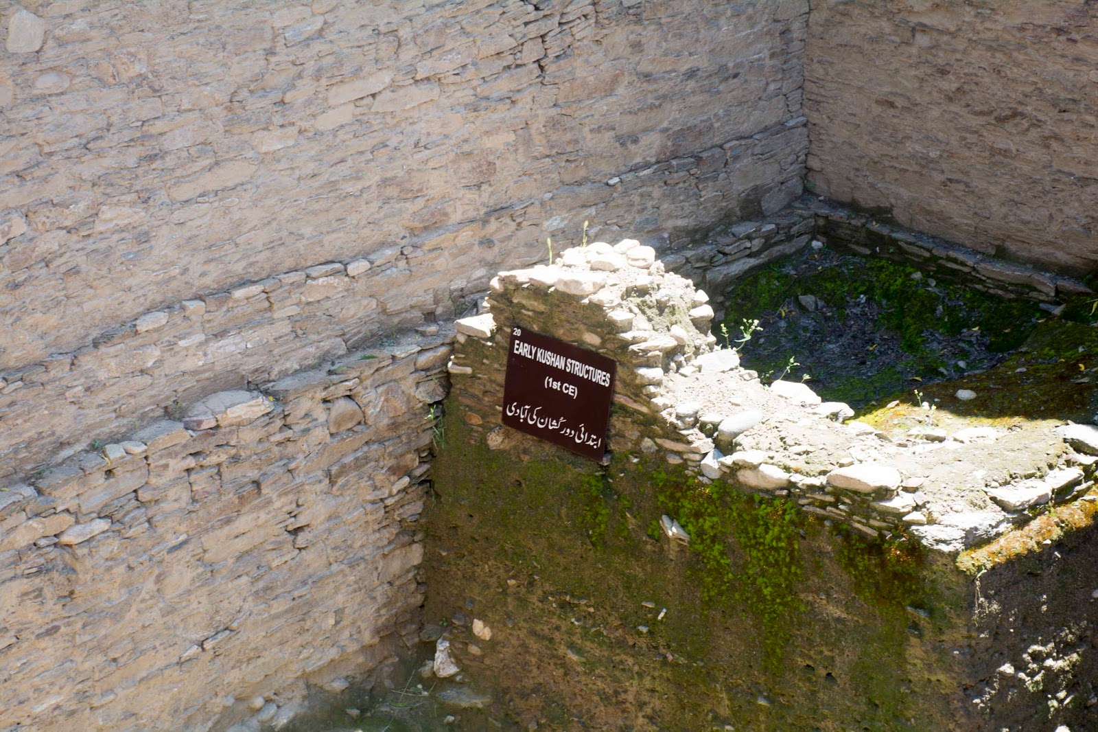 Ali Usman Baig : The Ancient Bazira of Alexander (2019)