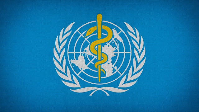Brief History of World Health Organization WHO