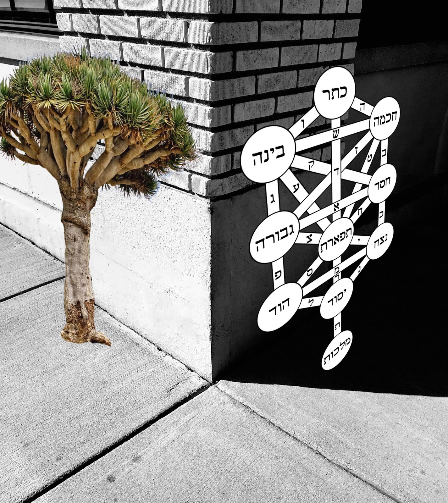 The Midnight Freemasons: Contemplative Cornerstones: Trees