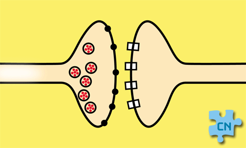 Biologia no Vestibular: Aula - Sistema Nervoso (Histologia e Fisiologia)