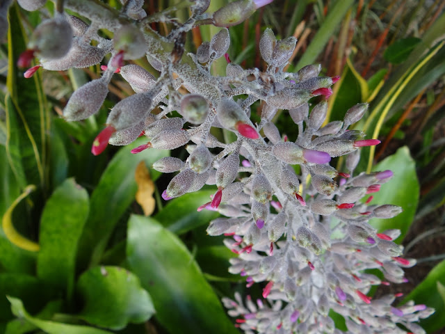 Jenny of ELEFANTZ: The lake, and a first Easter for Cully May...