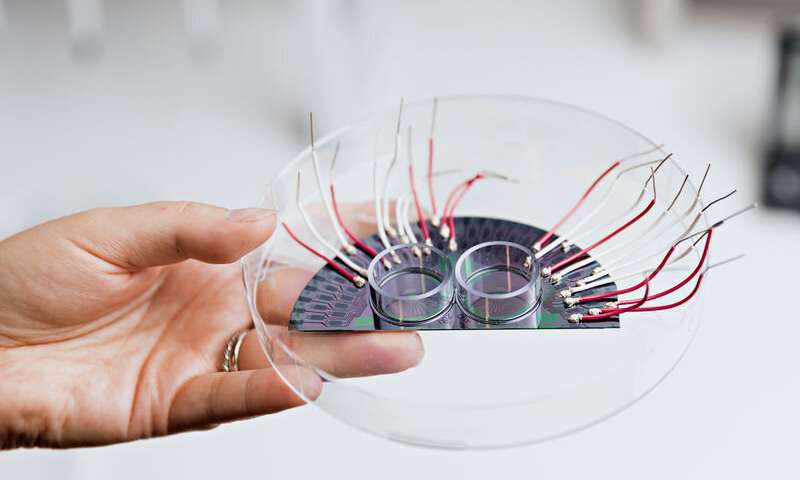 Our Parkinson's Place: A tiny sensor that may play a significant role ...