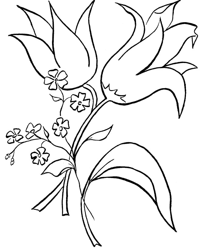 Gambar Mewarnai Bunga Matahari,Mawar,Tulip,Melati | gambarcoloring