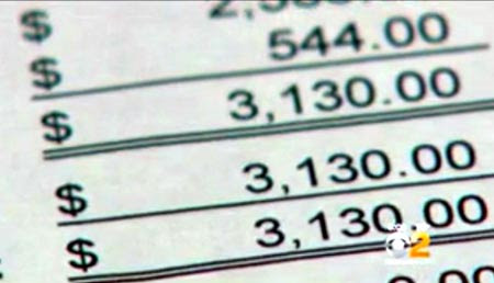 Four legged friends (and enemies): New York: Lisa Birdsall is accused ...