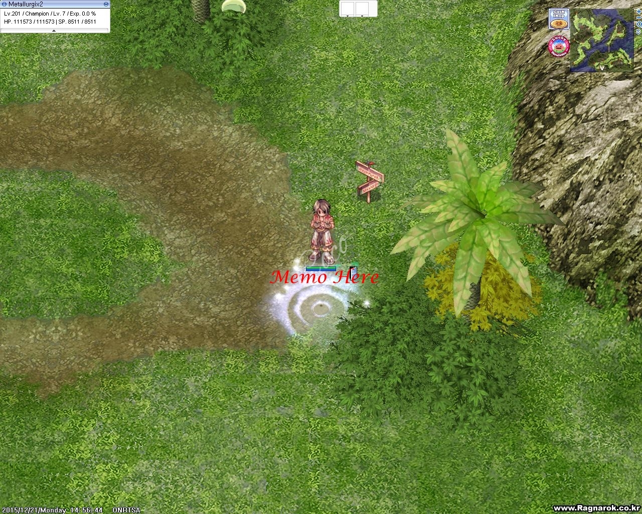 My Life in Ragnarok: Coco's MVP Guide: Orc Hero