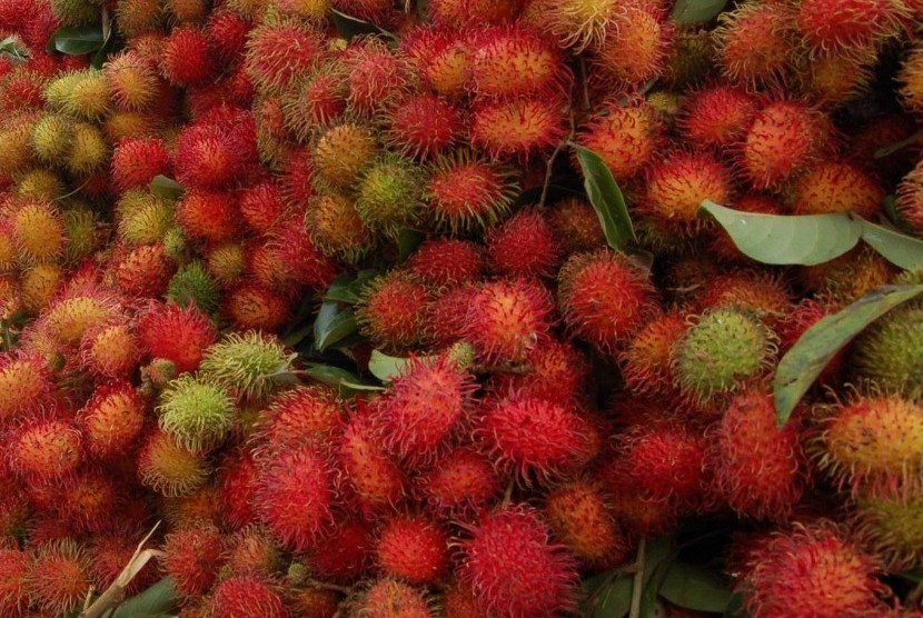 anakagronomy[dot]com