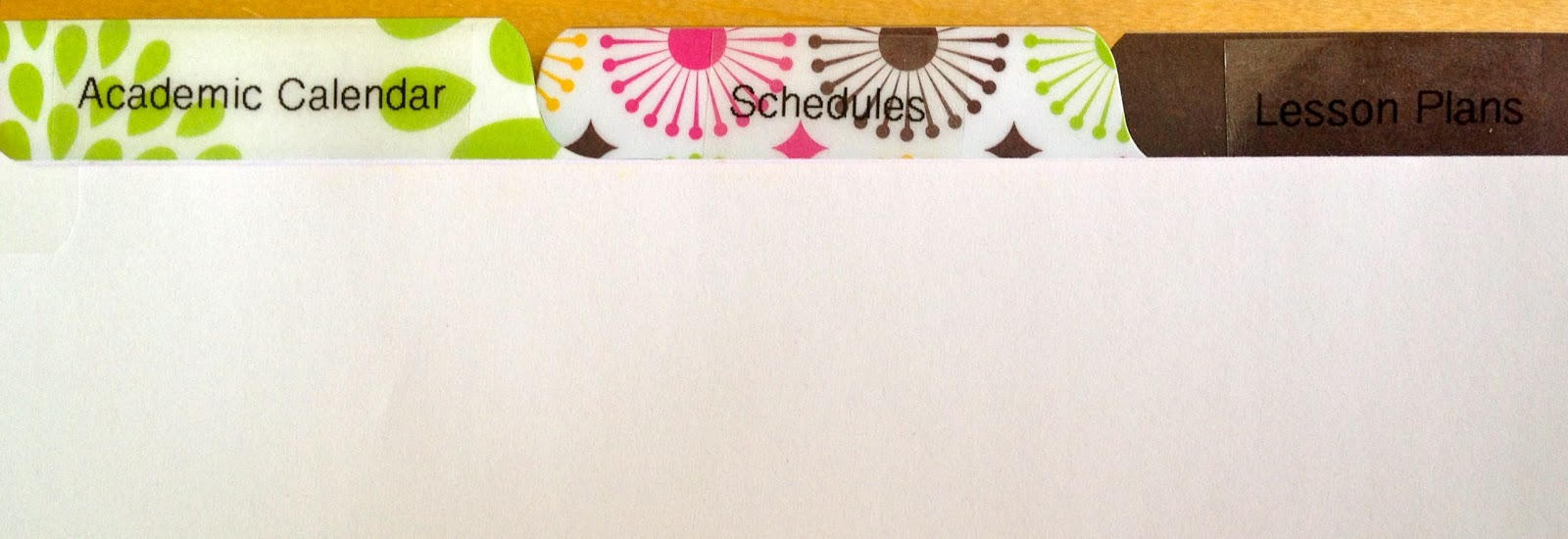 Teacherfessions: DIY Lesson Planner