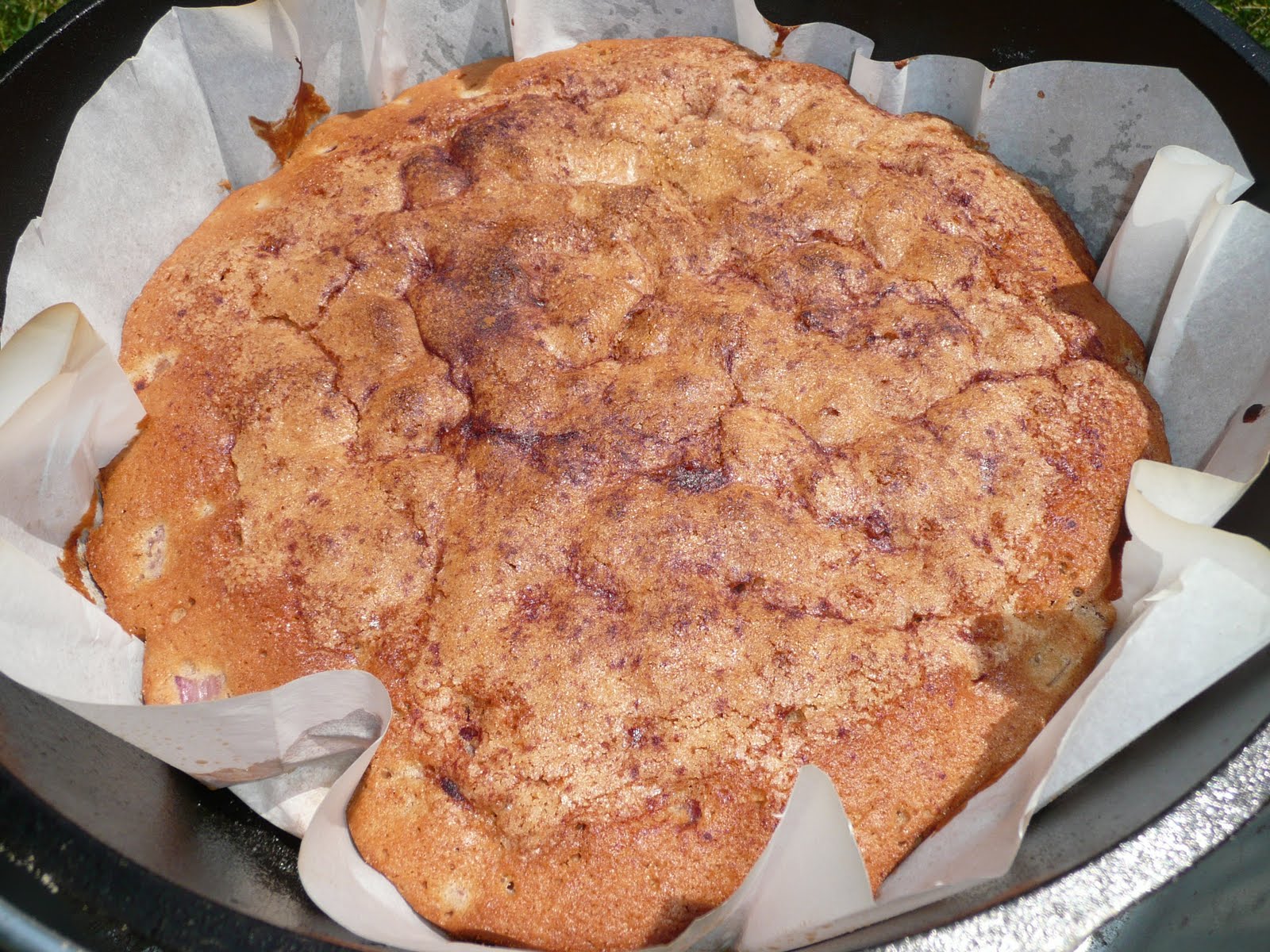 Everyday Dutch Oven: Fabulous Rhubarb Cake