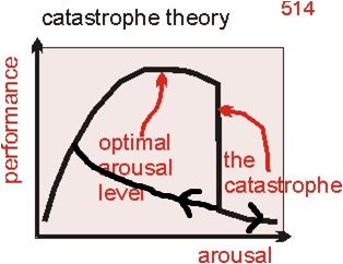 Ashfield School A Level Physical Education: Catastrophe Theory