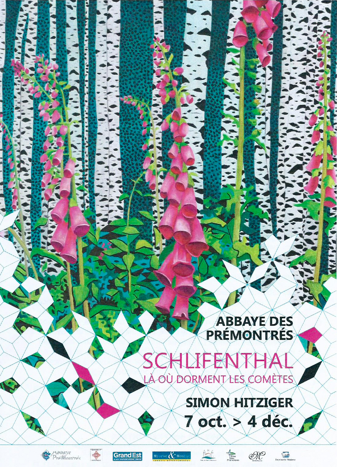 Vu par MamLéa: Simon Hitziger aux Prémontrés (Pont-à-Mousson)