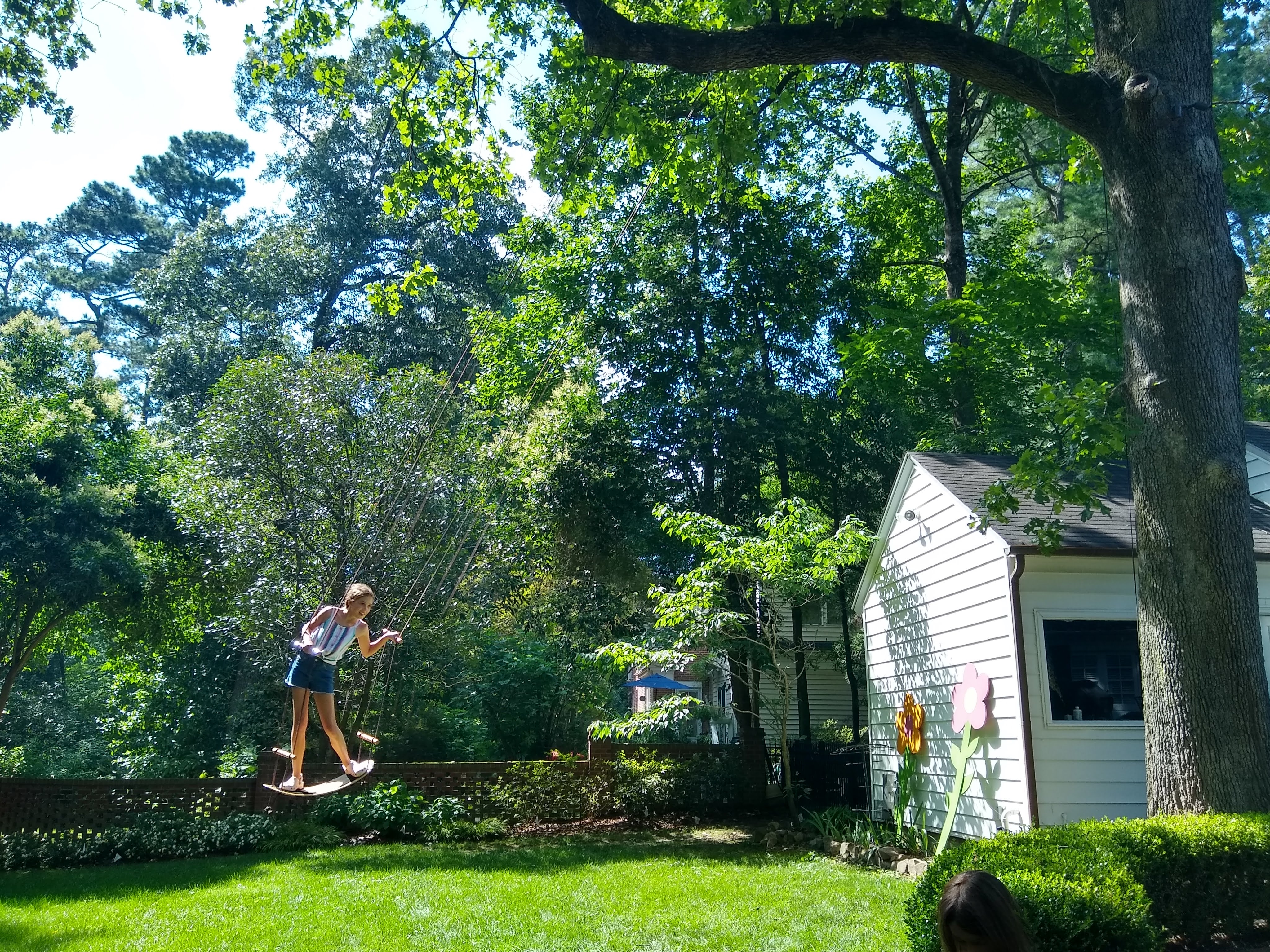 Piedmont Tree Climbing (PTC): Tree Swing Installation