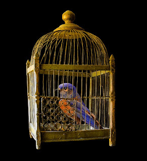 Chirp Cheer N Chai: The Gorgeous Gilded Cage- Pri