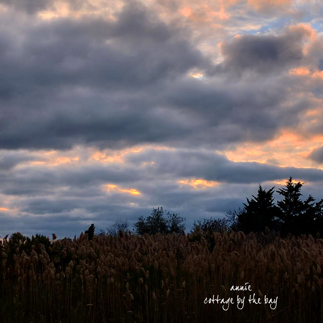Cottage by the Sea : Autumn at the Bay