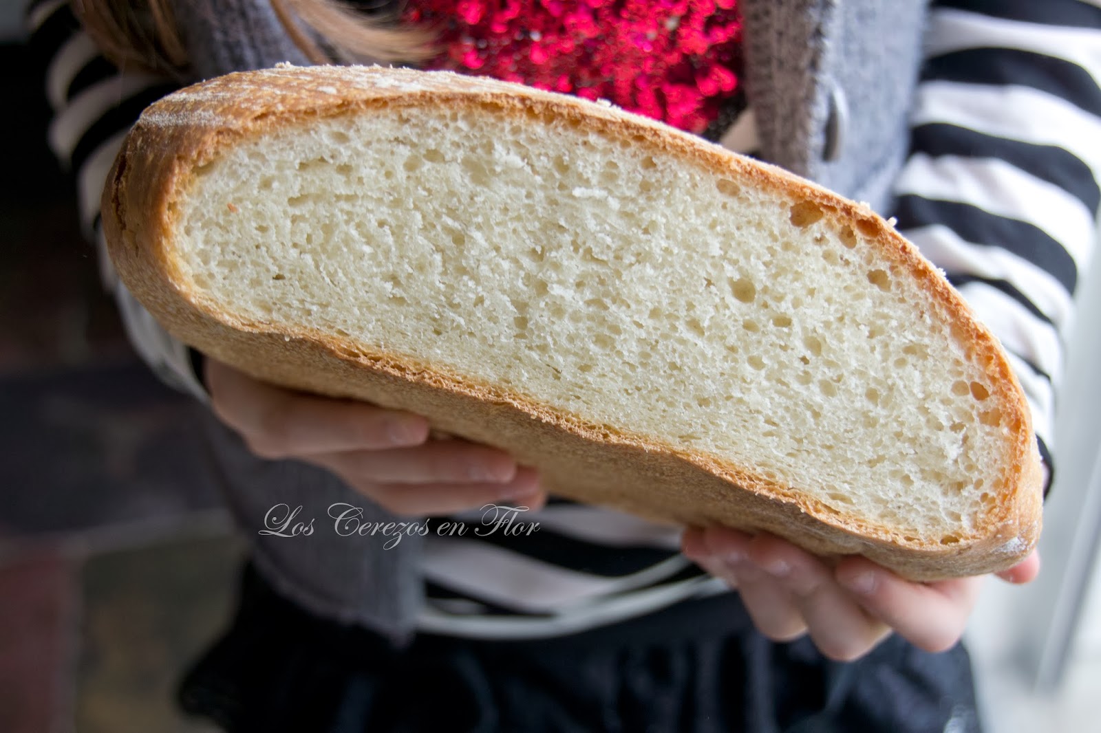Los cerezos en flor: Pa de Pagès, Terrina de Pa de Pagès y las Cookings ...