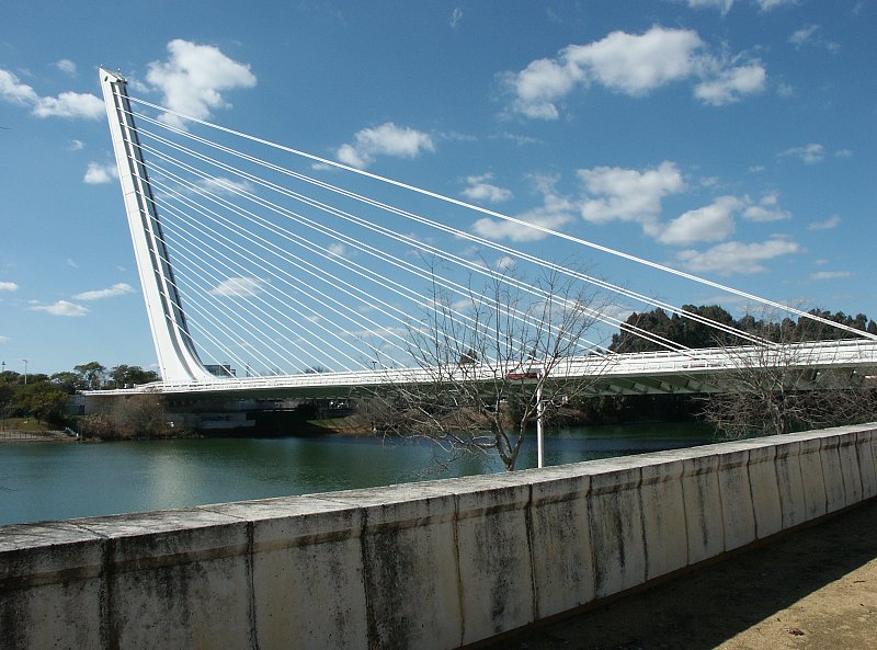 A penguin writes: May 2013