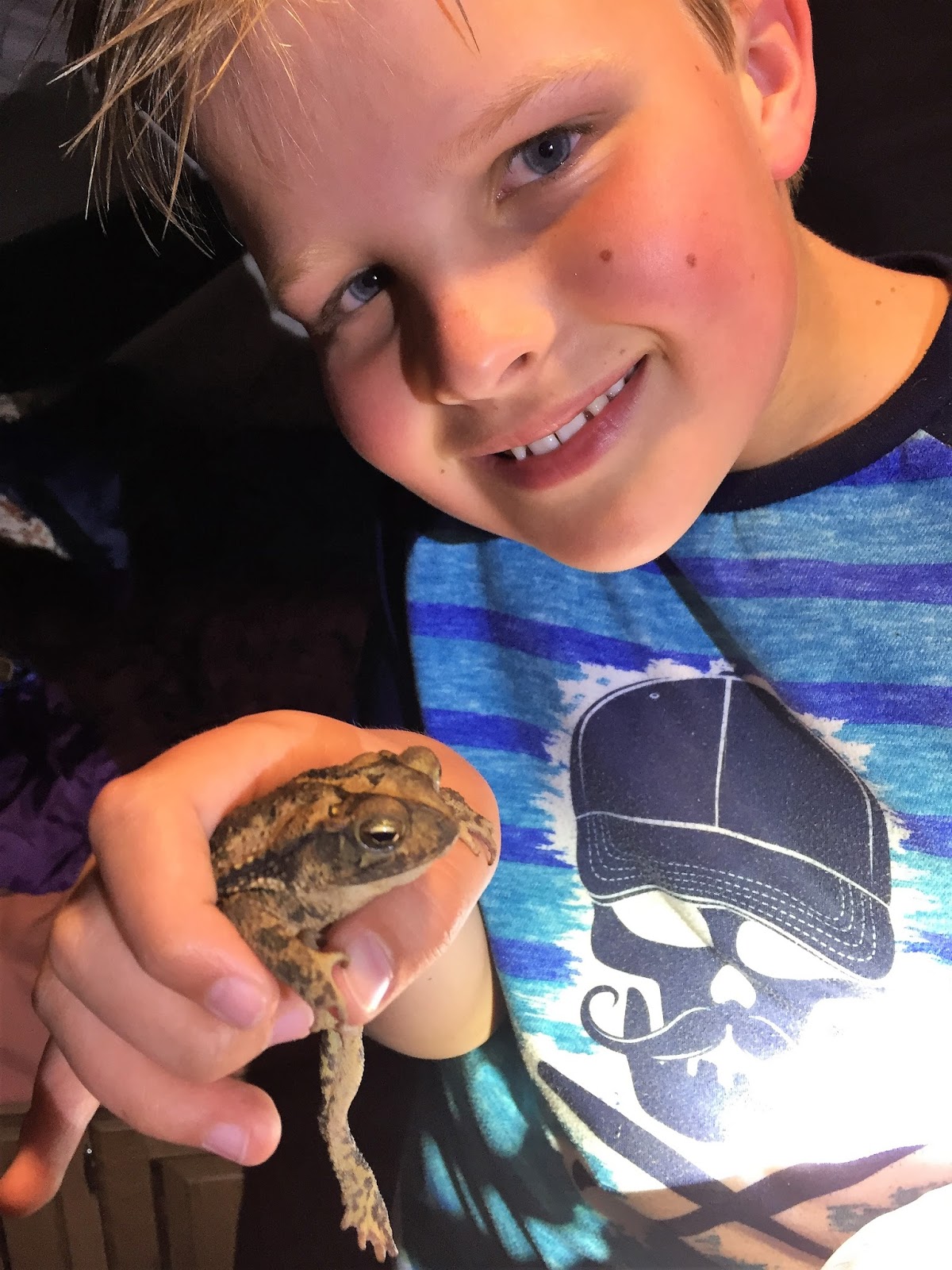 Adventures of the Girls and their Little Brother: Creature Catcher!