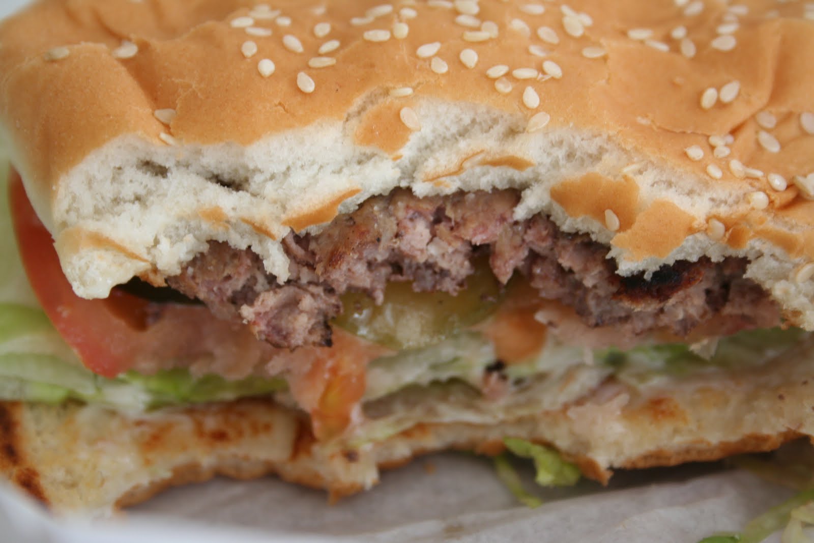 Ostrich Burgers and 'Y' Not Burger...Never Again! — HUNGRY CAKES