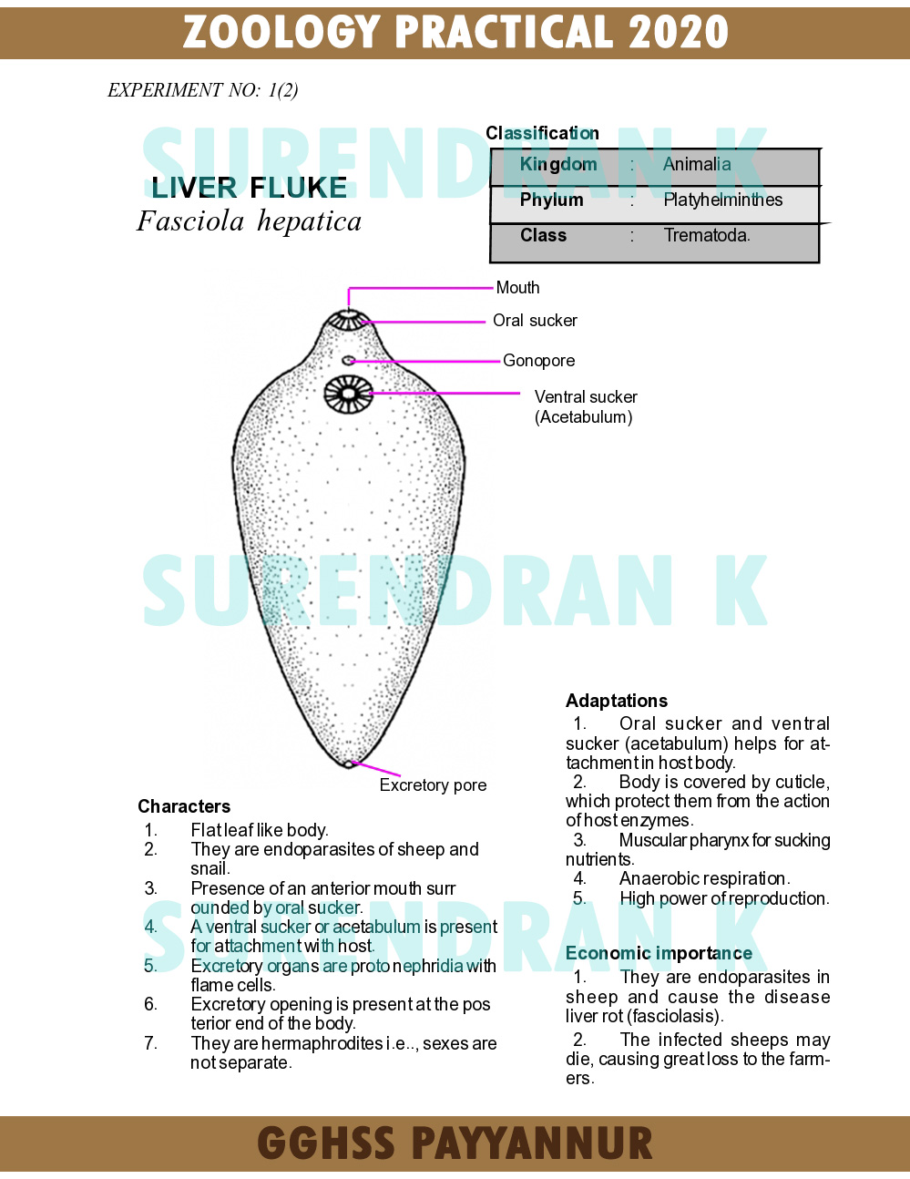 ZOOLOGY : PRACTICAL ZOOLOGY