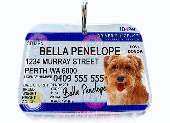 ID4Pet Custom Pet ID Tag: Driver License Tag for your pet by ID4Pet