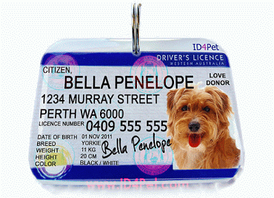 ID4Pet Custom Pet ID Tag: Driver License Tag for your pet by ID4Pet