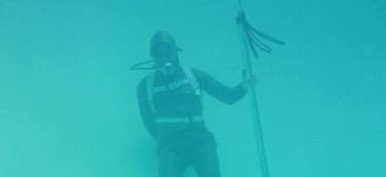 Film and Literature: Page to Screen: Zooming in on The Graduate