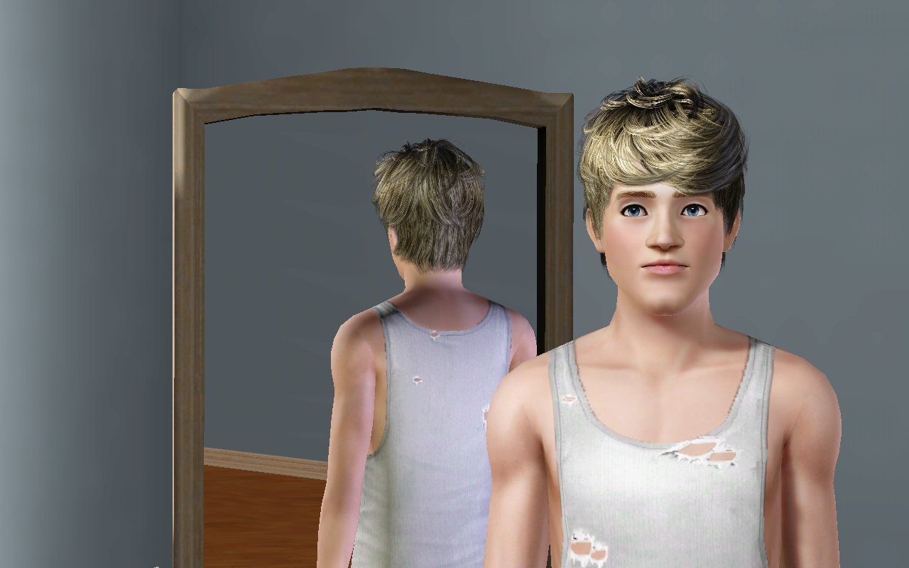 One Direction Sims 3 Project | nekohebi sims