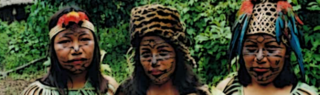 Eco Amazonico.com Comunidad informativa Noticias Pastaza : Nacionalidad ...