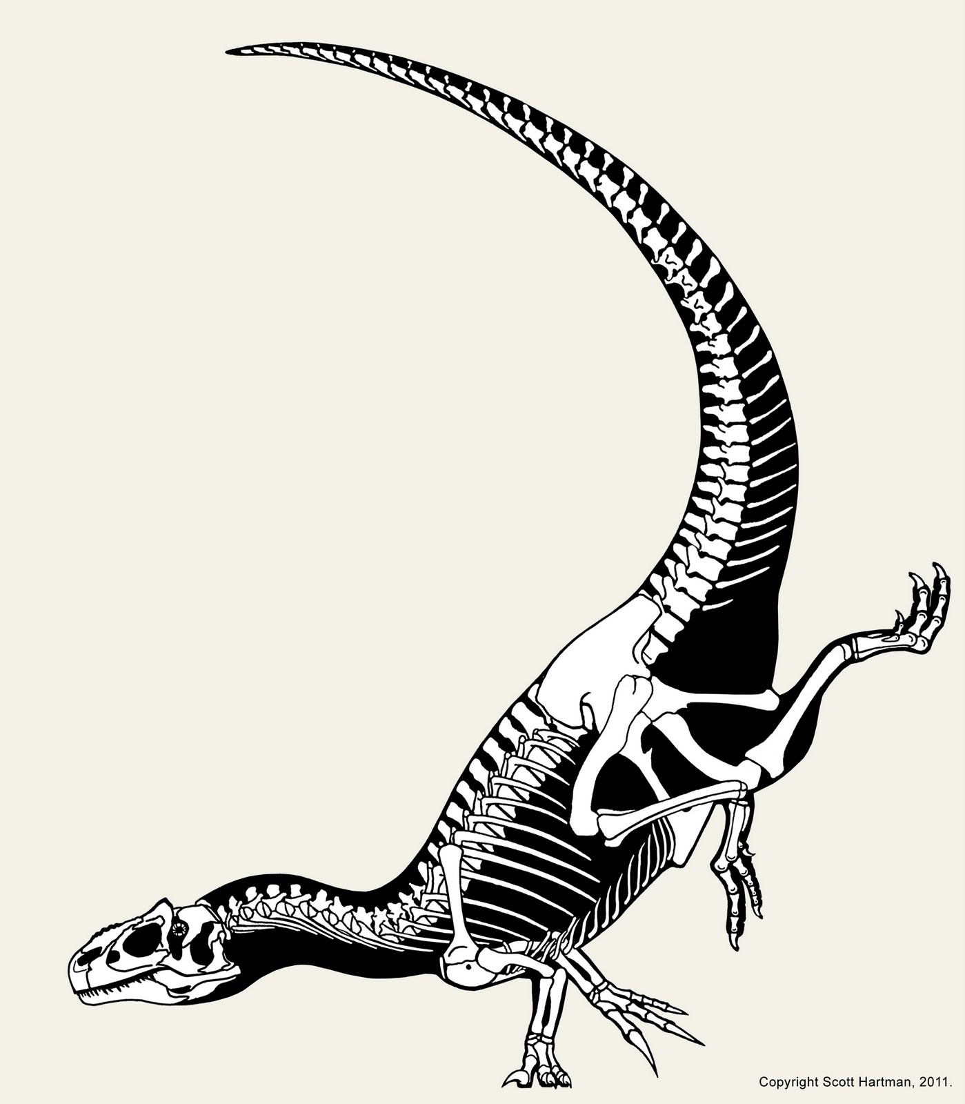 Skeletal Drawing: Skeletal Poses: Do they matter?