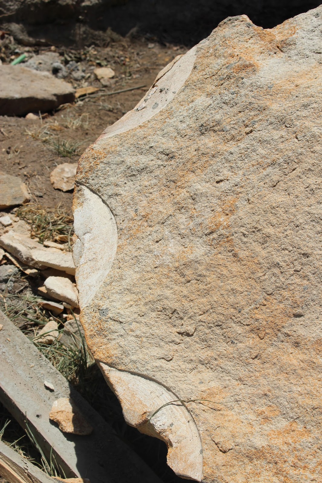 The Polished Pebble: Designing A Garden For The Future