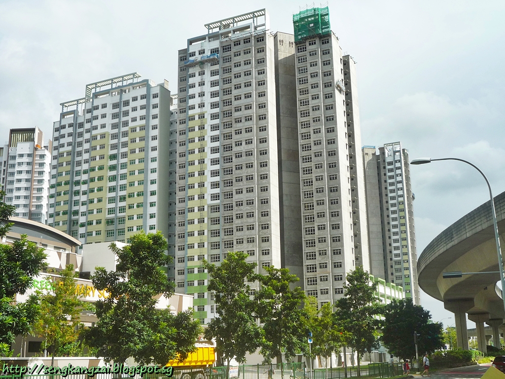 Zai@Sengkang: Fernvale Flora (Completed)