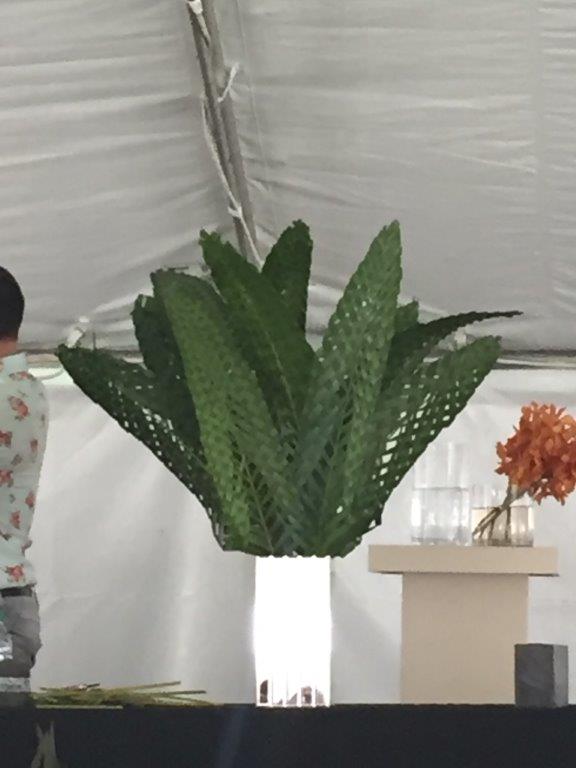 Kanawha Garden Club: The Amazing Art of Leaf Manipulation